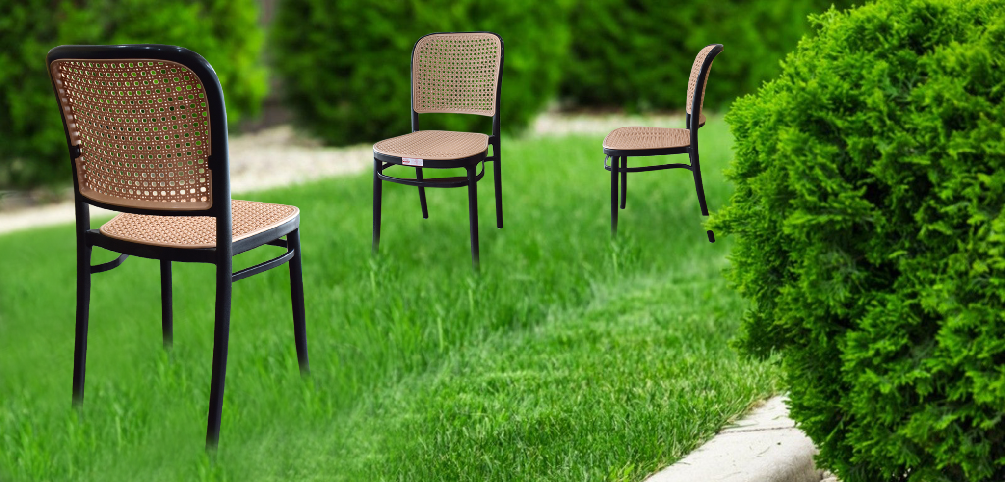 Sunburst - Cofta Furniture